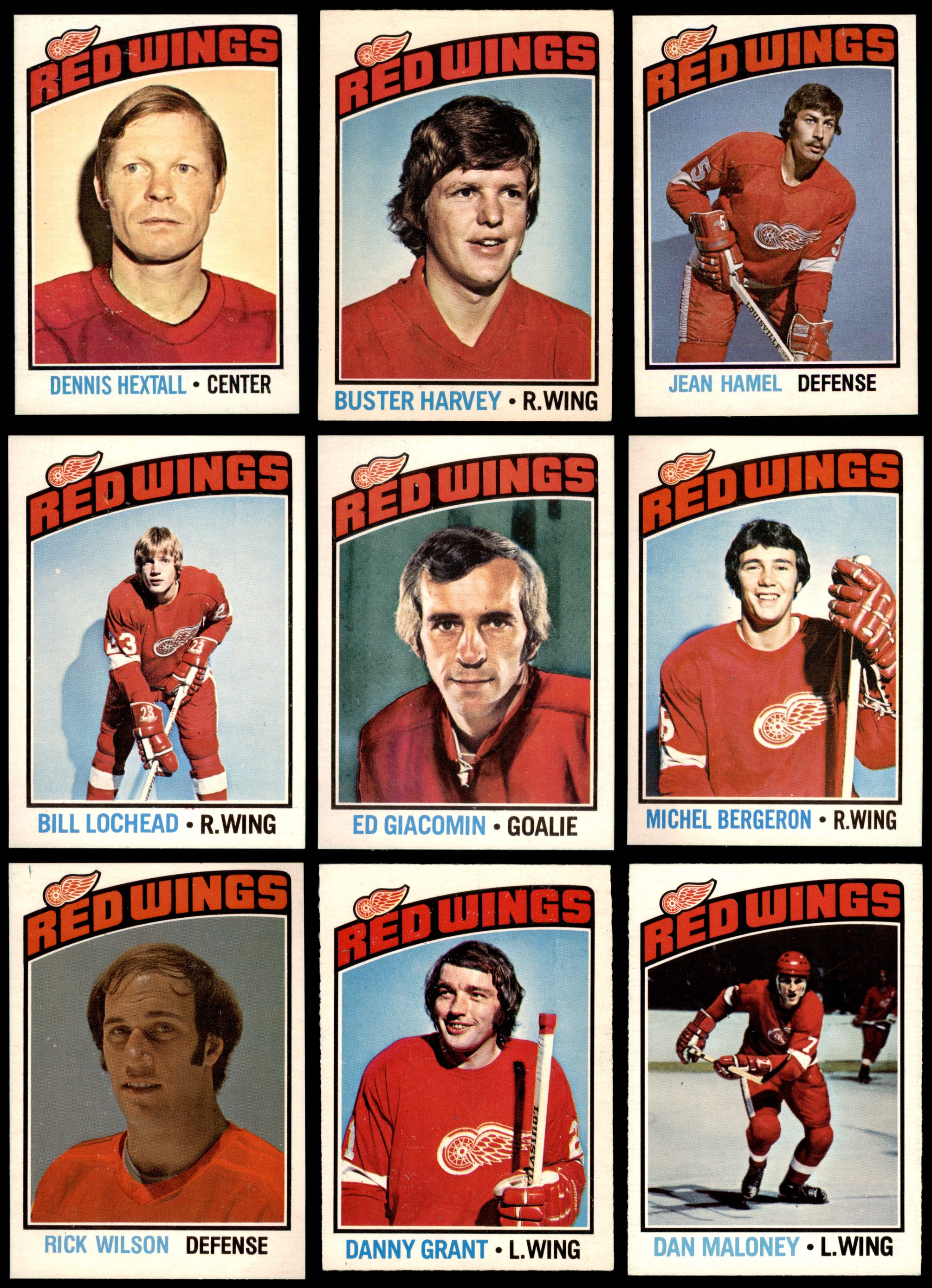 1976-77 O-Pee-Chee Detroit Red Wings Near Team Set 7 - NM | eBay